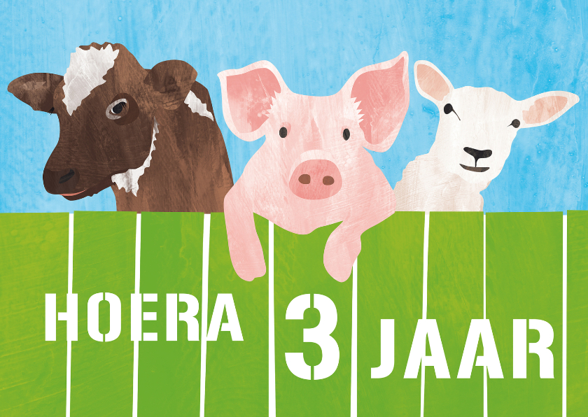 3 jaar koe varken en schaap | Kaartje2go