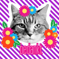 Bedankkaartjes maken - Mooie bedankkaart van Kaartje2go