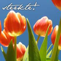 Medeleven en sterkte kaarten | Kaartje2go